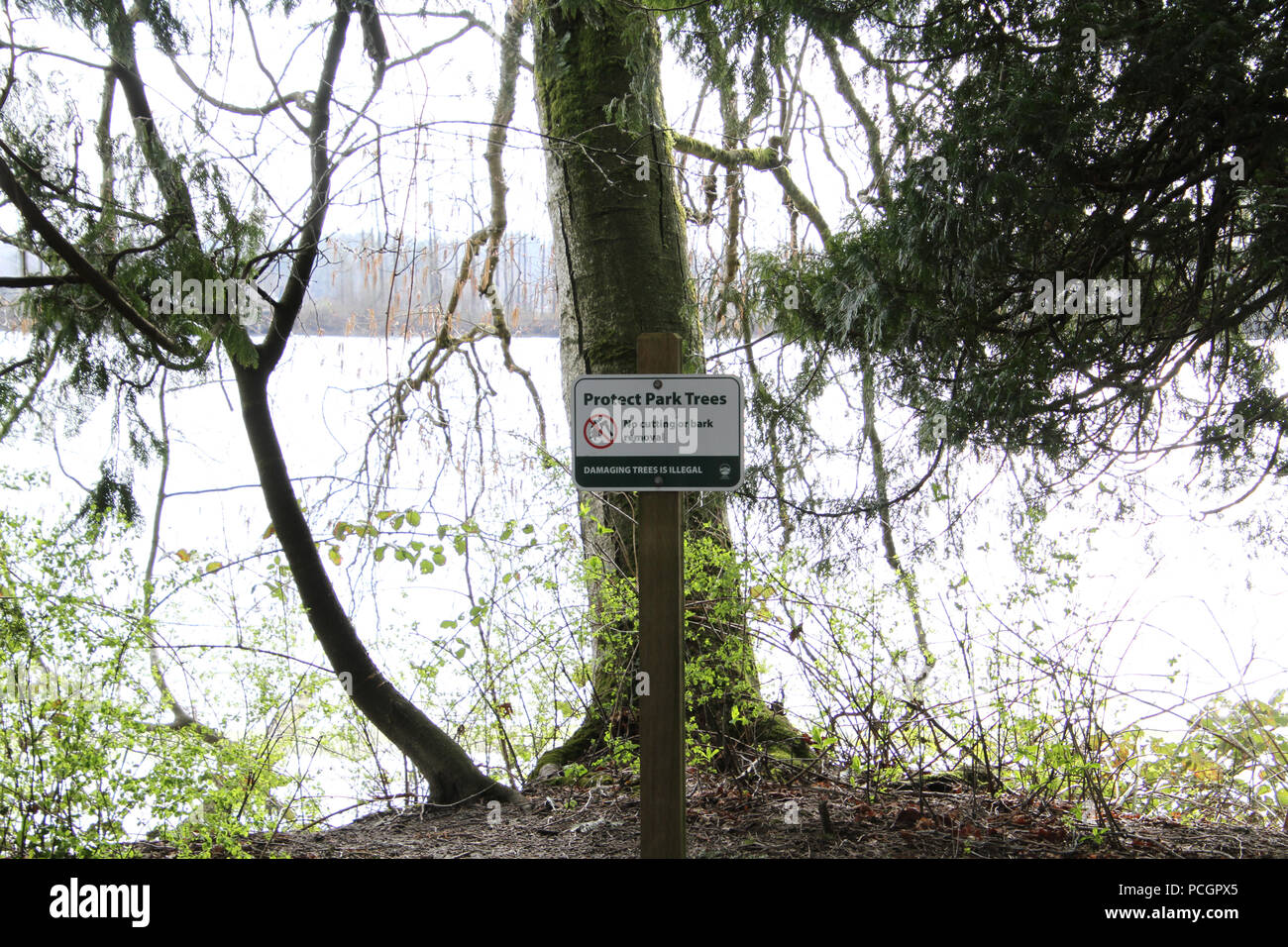 Protect our trees hi-res stock photography and images - Alamy