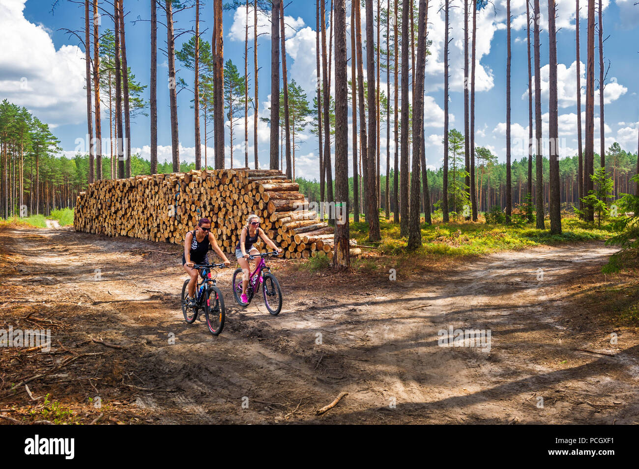 three women ride bicycles Stock Photo - Alamy