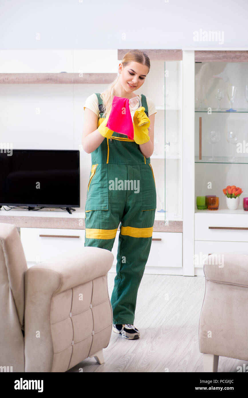 Professional cleaner cleaning apartment furniture Stock Photo - Alamy