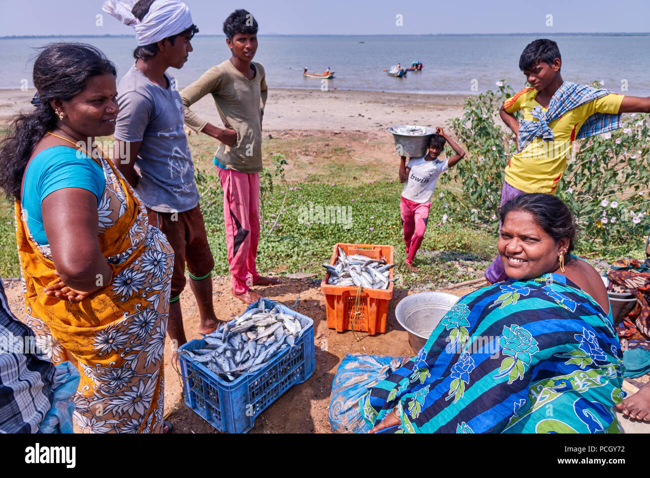 Lakeside fishing in India Stock Photo - Alamy