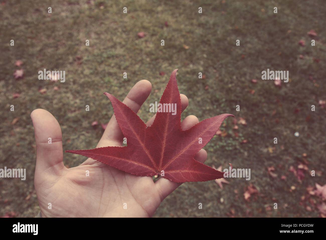 Holding human palm hi-res stock photography and images - Alamy