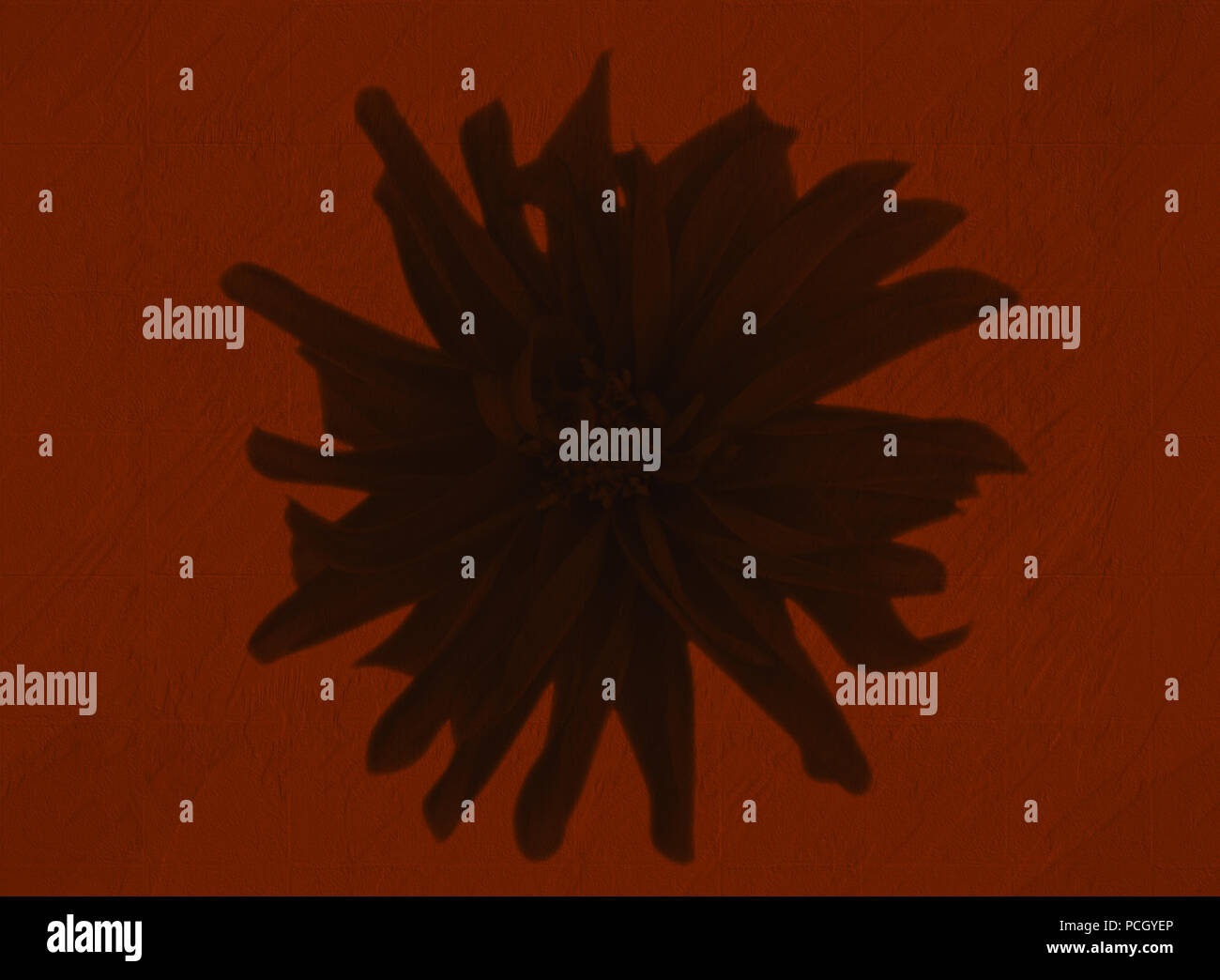 Digital illustration art. Red brown abstract texture background Stock ...