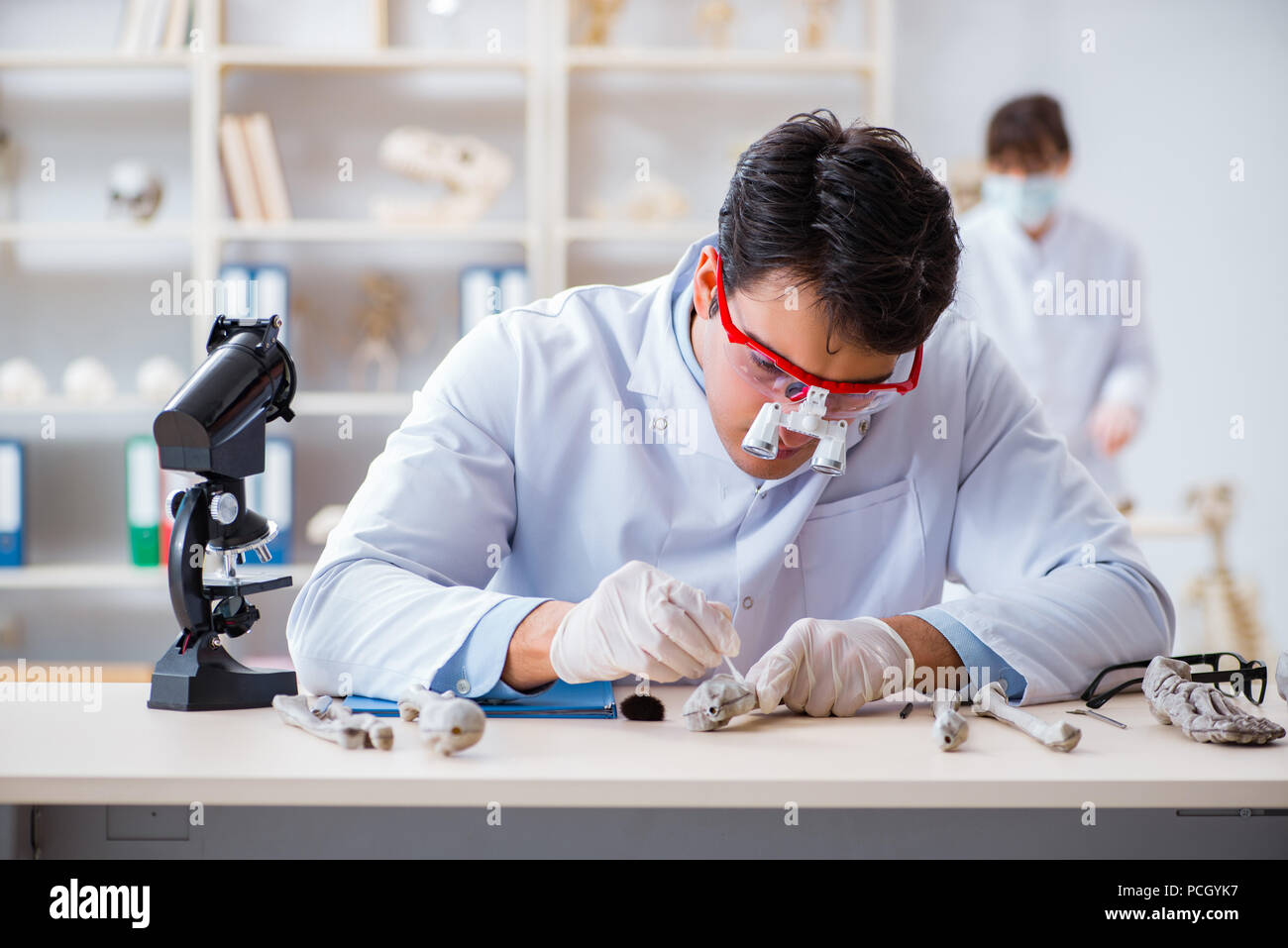 Professor studying human skeleton in lab Stock Photo - Alamy