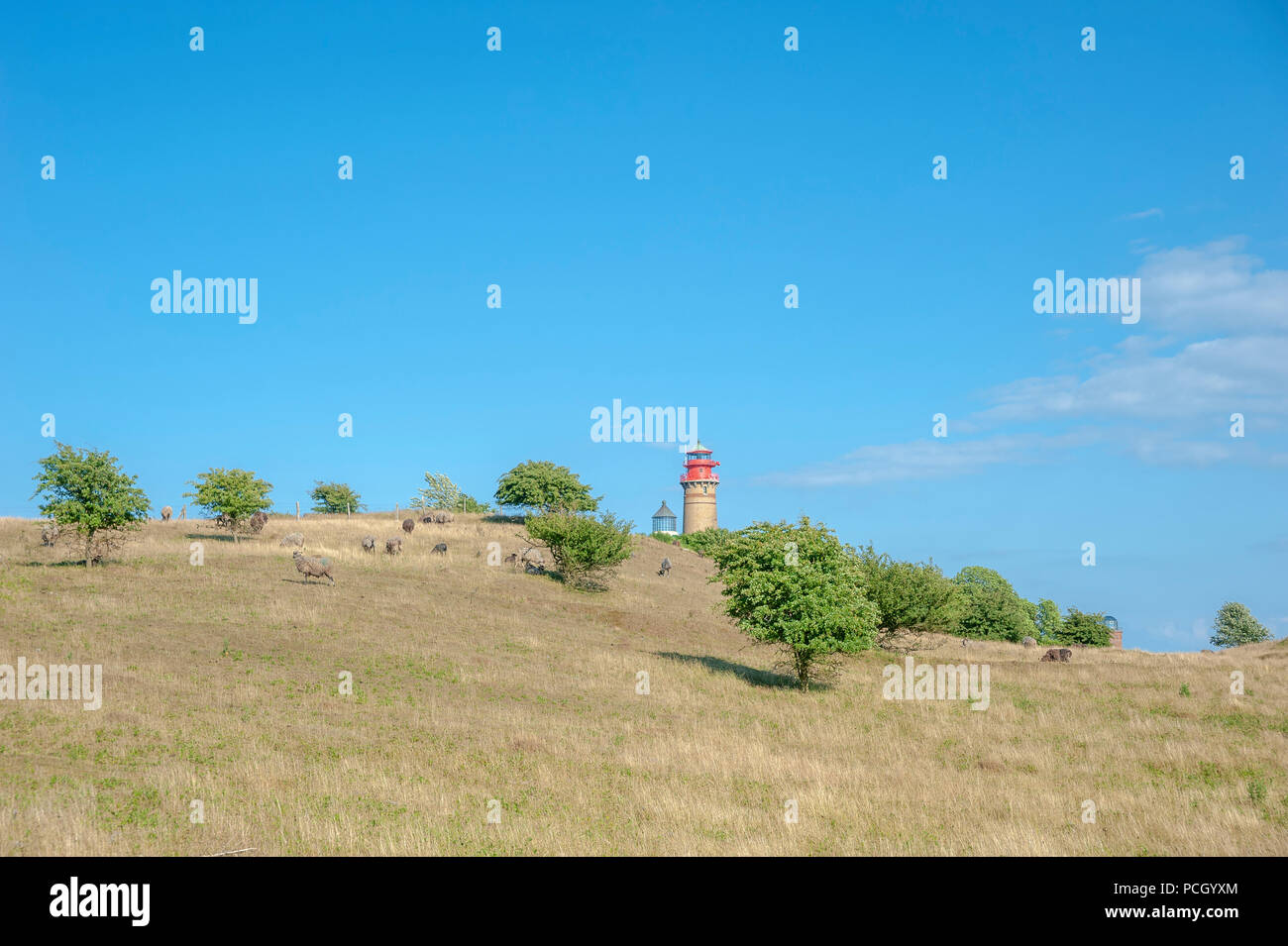 Countryside with lighthouse at Cape Arkona, Putgarten, Rügen ...