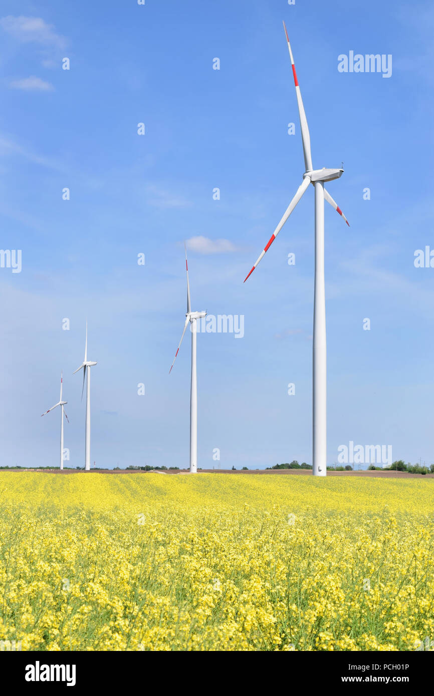 Wind farm in Alibunar, Serbia Stock Photo - Alamy