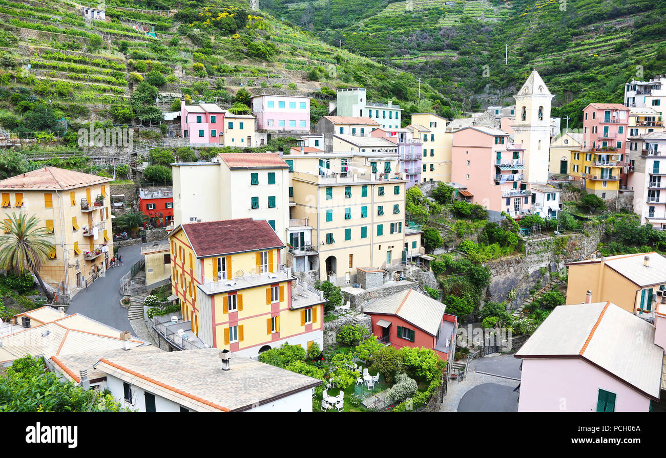 traditional colorful houses at Manarola village Cinque Terre Italy ...