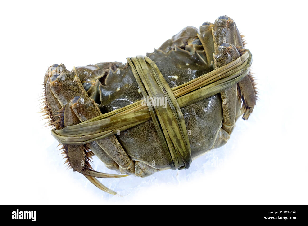 Shanghai hairy crab hi-res stock photography and images - Alamy