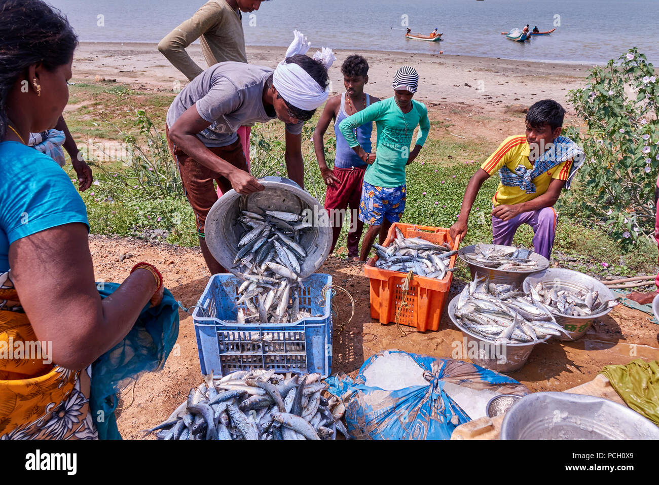 Lakeside fishing in India Stock Photo - Alamy