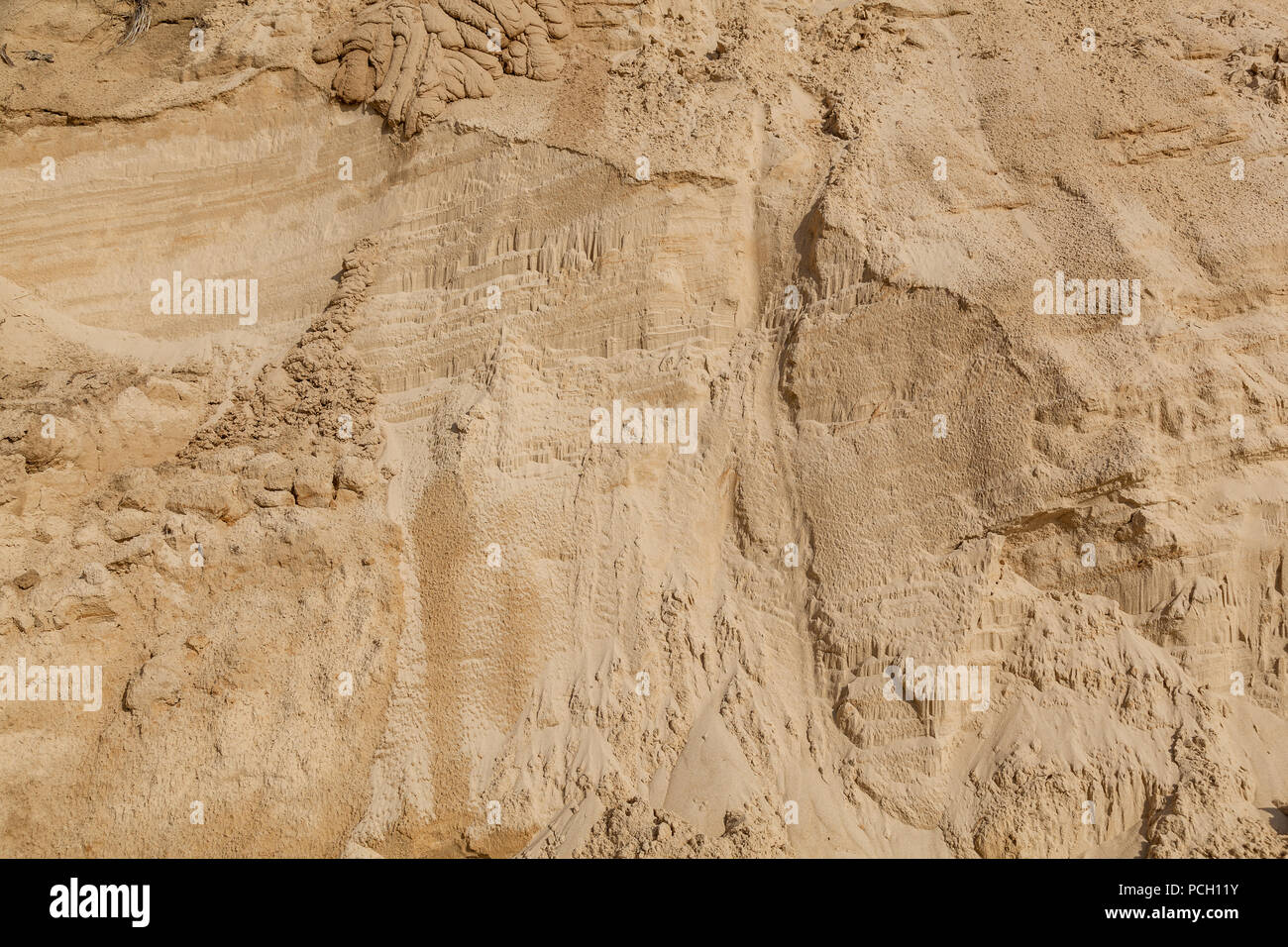 Sandy beach with patterns from the streams of water. The texture of the ...
