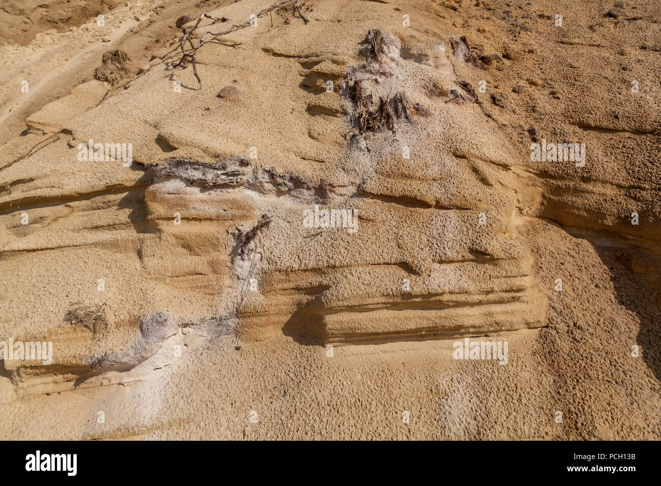 Sandy beach with patterns from the streams of water. The texture of the ...