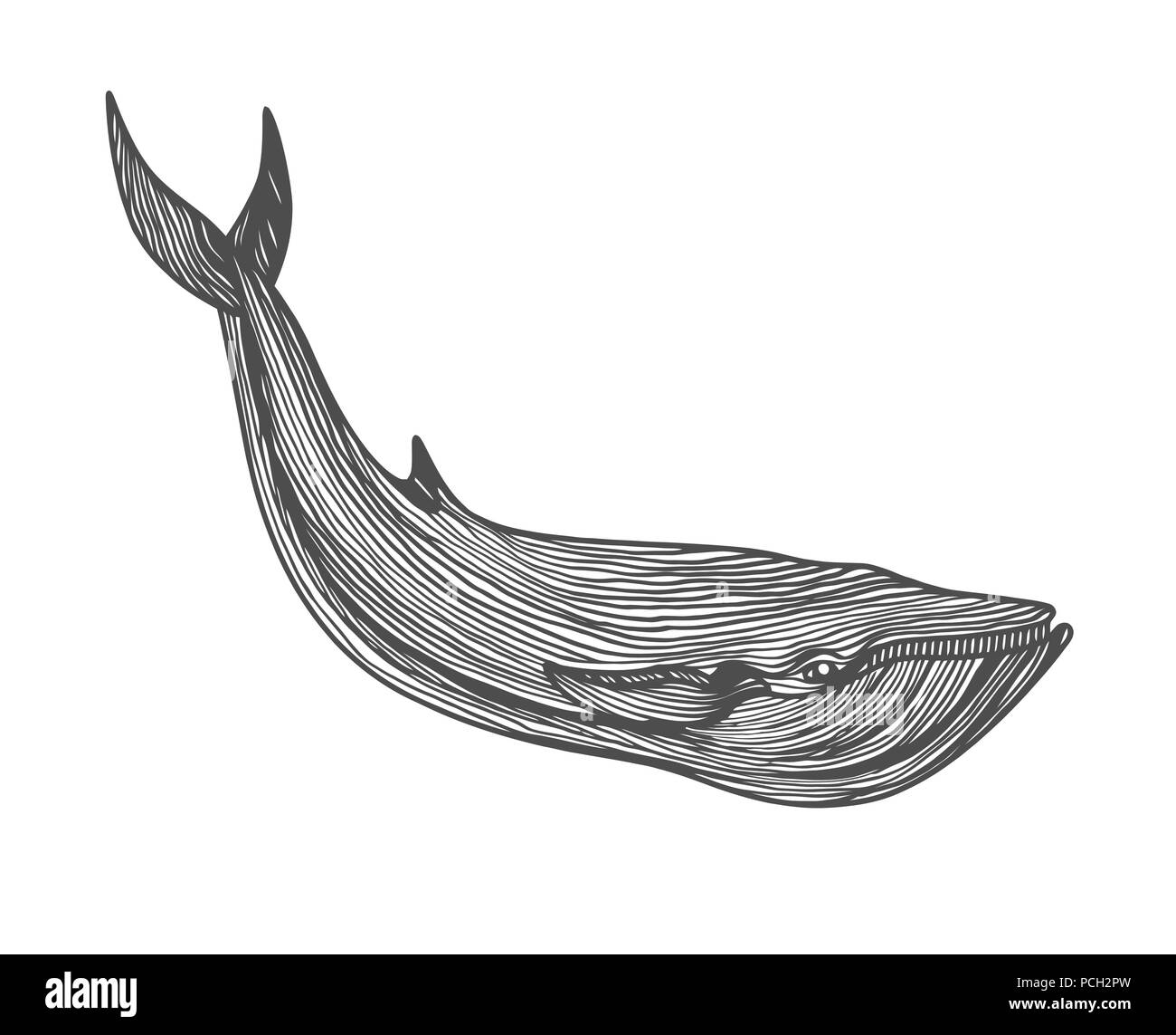 Animal painted hand Black and White Stock Photos & Images - Alamy