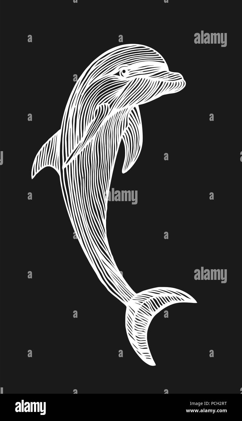 Vector antique engraving Stock Vector Image & Art - Alamy