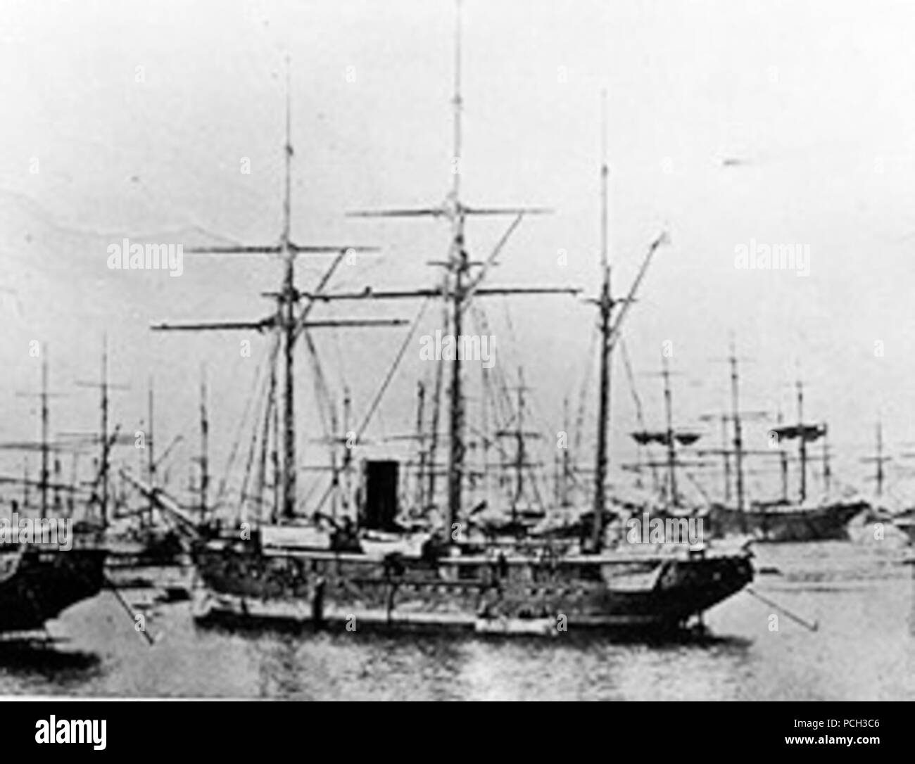 Corbeta hi-res stock photography and images - Alamy