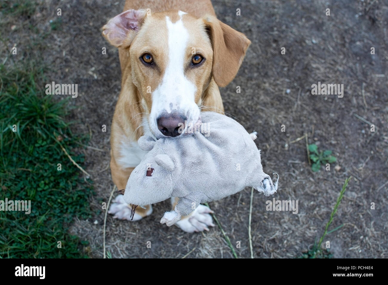 Look catcher hi-res stock photography and images - Alamy