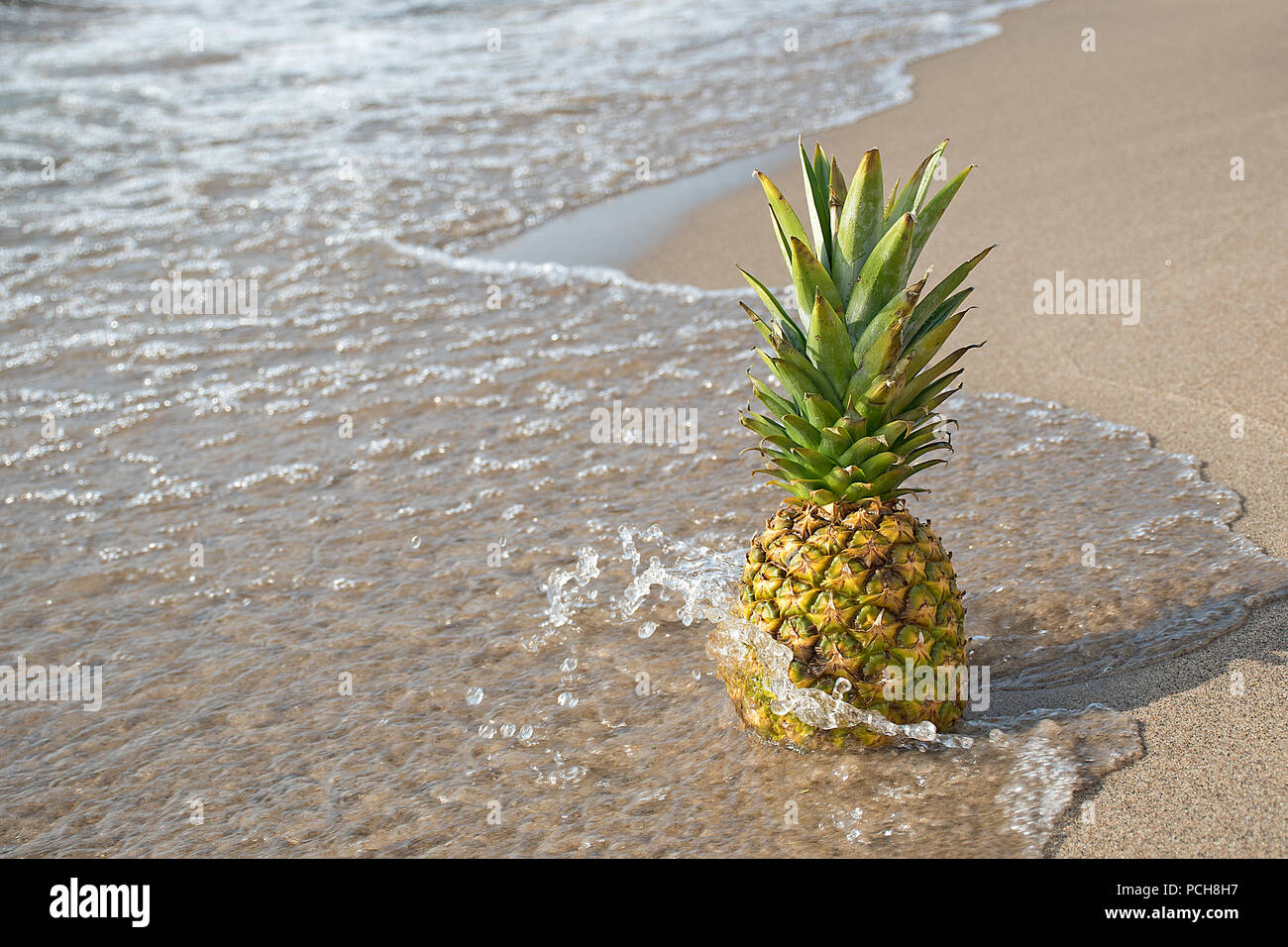 Pineapple on the beach hi-res stock photography and images - Alamy