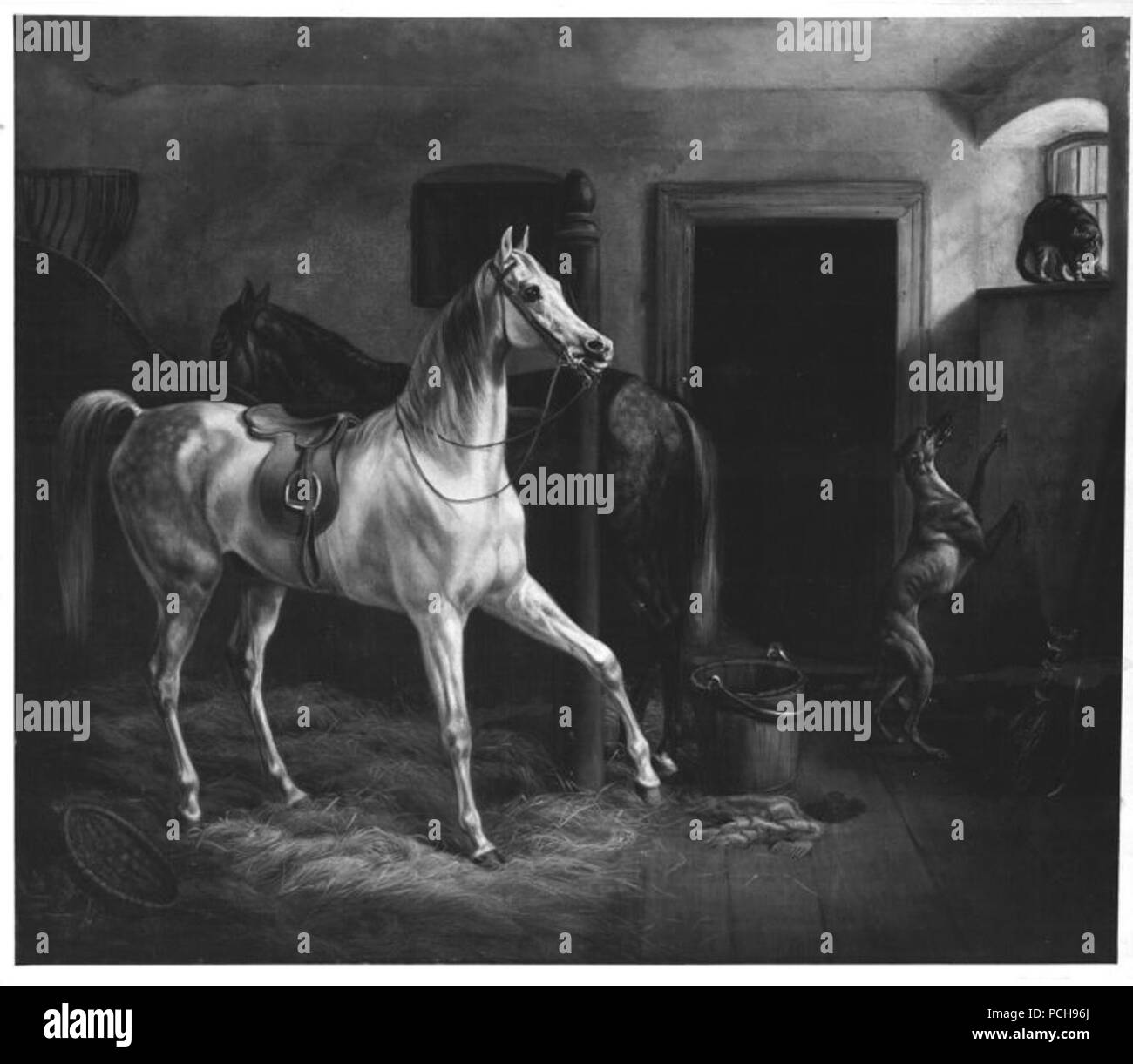 Albrecht Adam - Städtischer Pferdestall - WAF 10 Stock Photo - Alamy