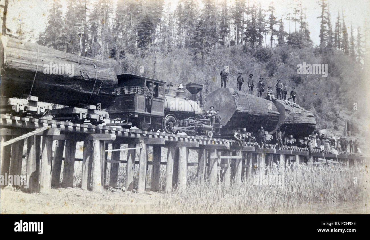 Albion Lumber Company's redwood logging railroad and their Baldwin 2-4-2T No. 1 'Albion' ca ...