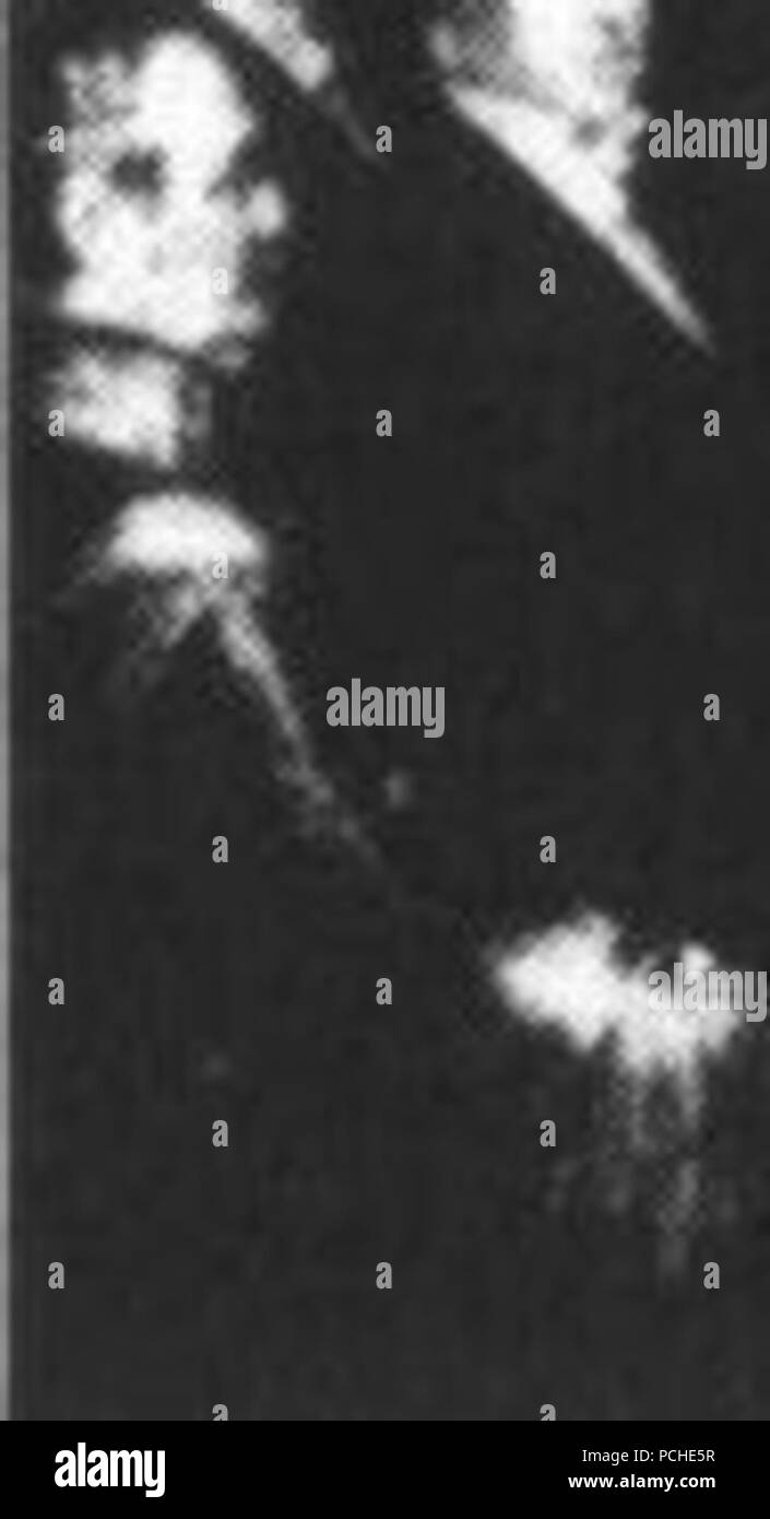 Deetz hi-res stock photography and images - Alamy