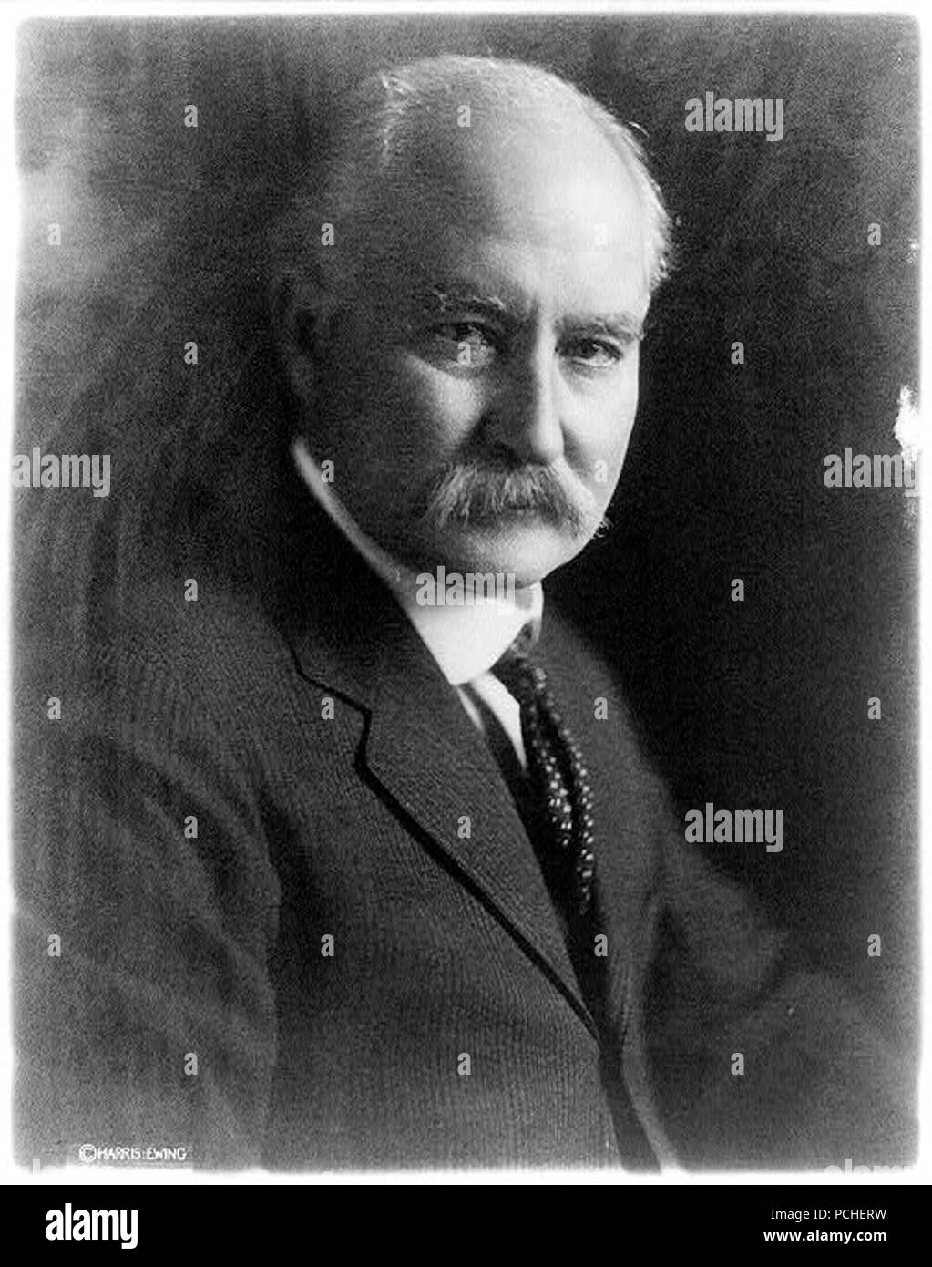 Albert Bacon Fall, Secretary of the Interior, bust portrait Stock Photo ...