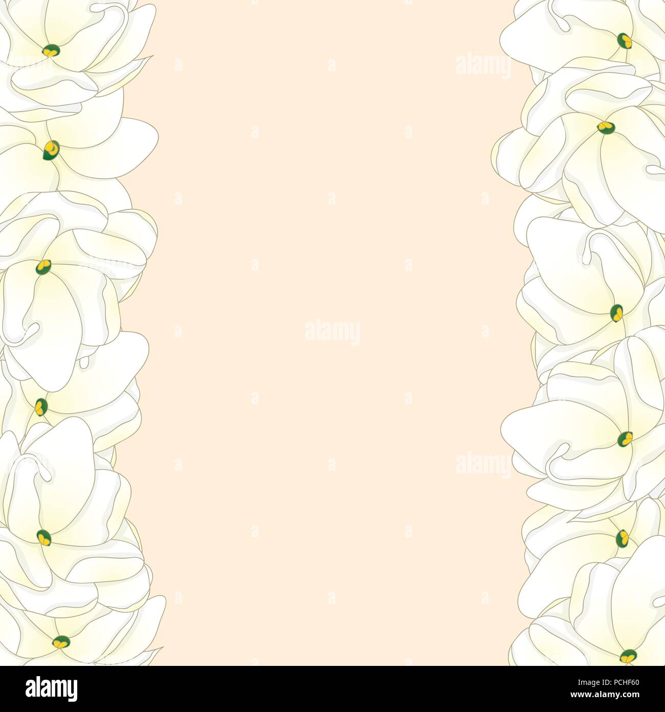 Jasminum sambac - Arabian Jasmine Border. Vector Illustration Stock ...