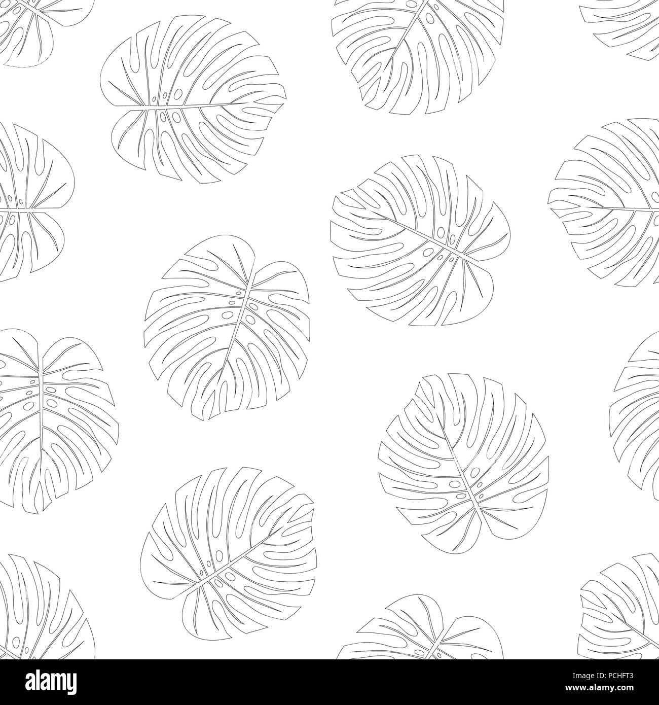 Philodendron Monstera Leaf Seamless Outline isolated on White ...