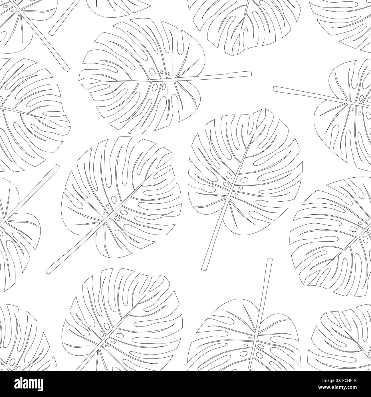 Philodendron Monstera Leaf Seamless Outline isolated on White ...