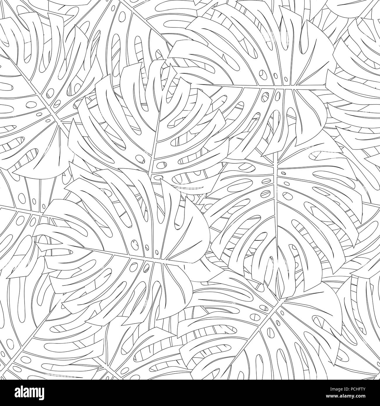 Philodendron Monstera Leaf Seamless Outline isolated on White ...
