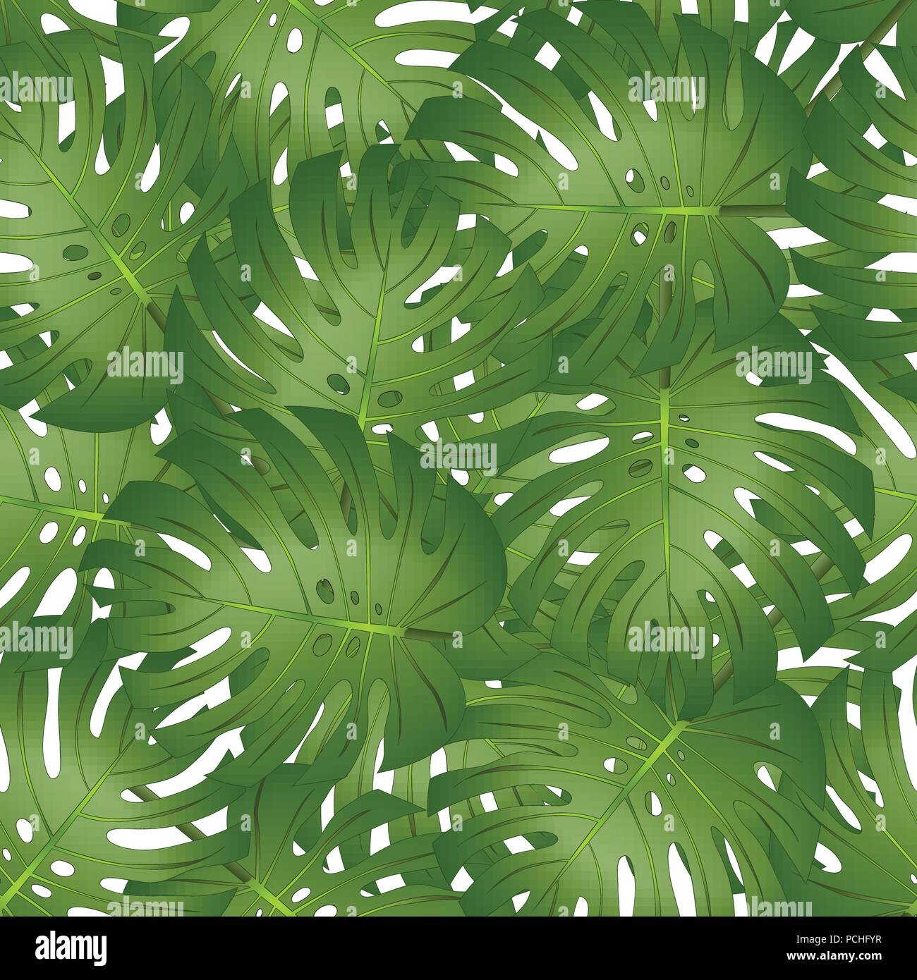 Split leaf philodendron Stock Vector Images - Alamy