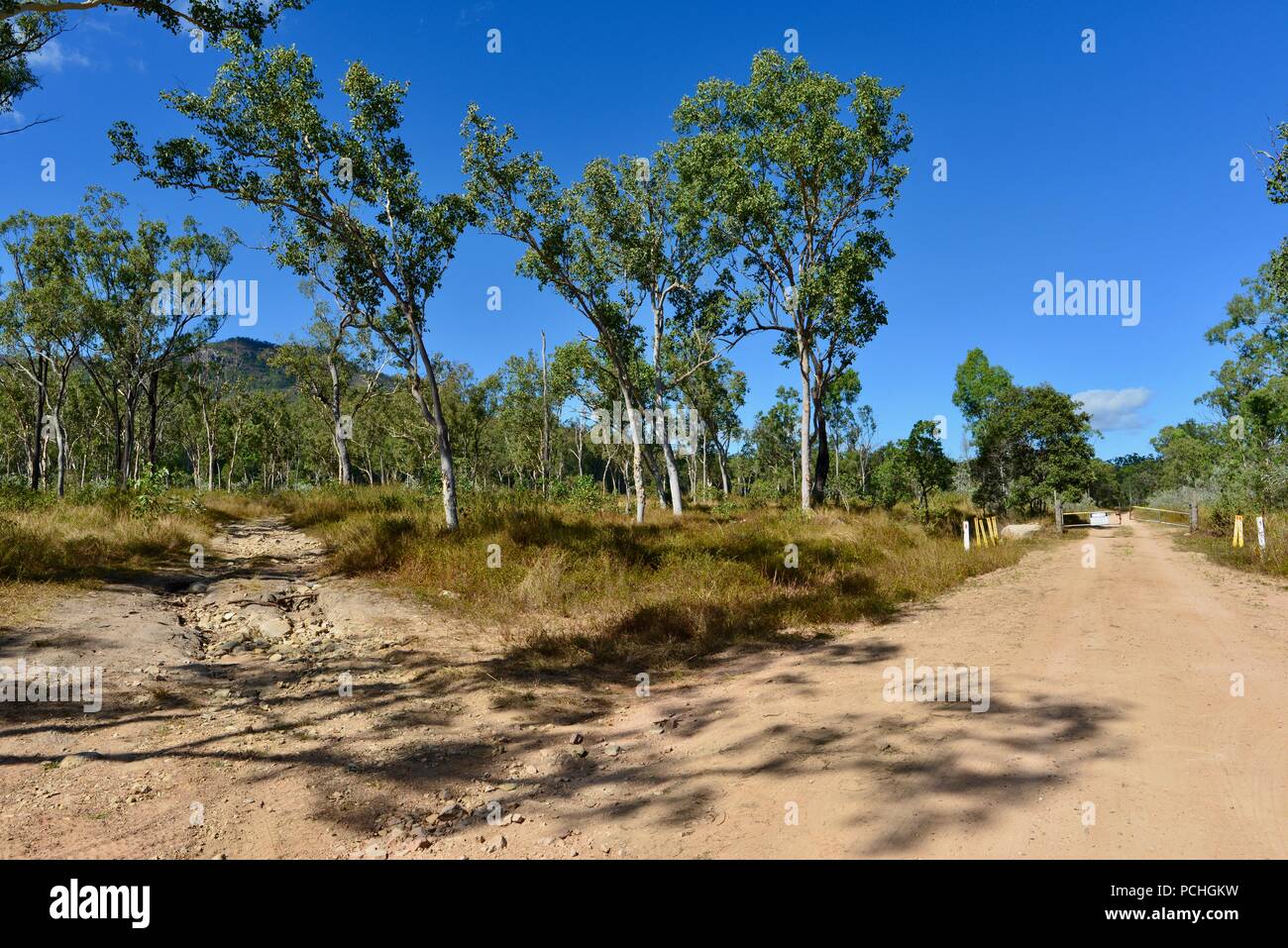 A fork in a dry dusty road going through bushland hi-res stock ... A fork in a dry dusty road going through bushland hi-res stock ...