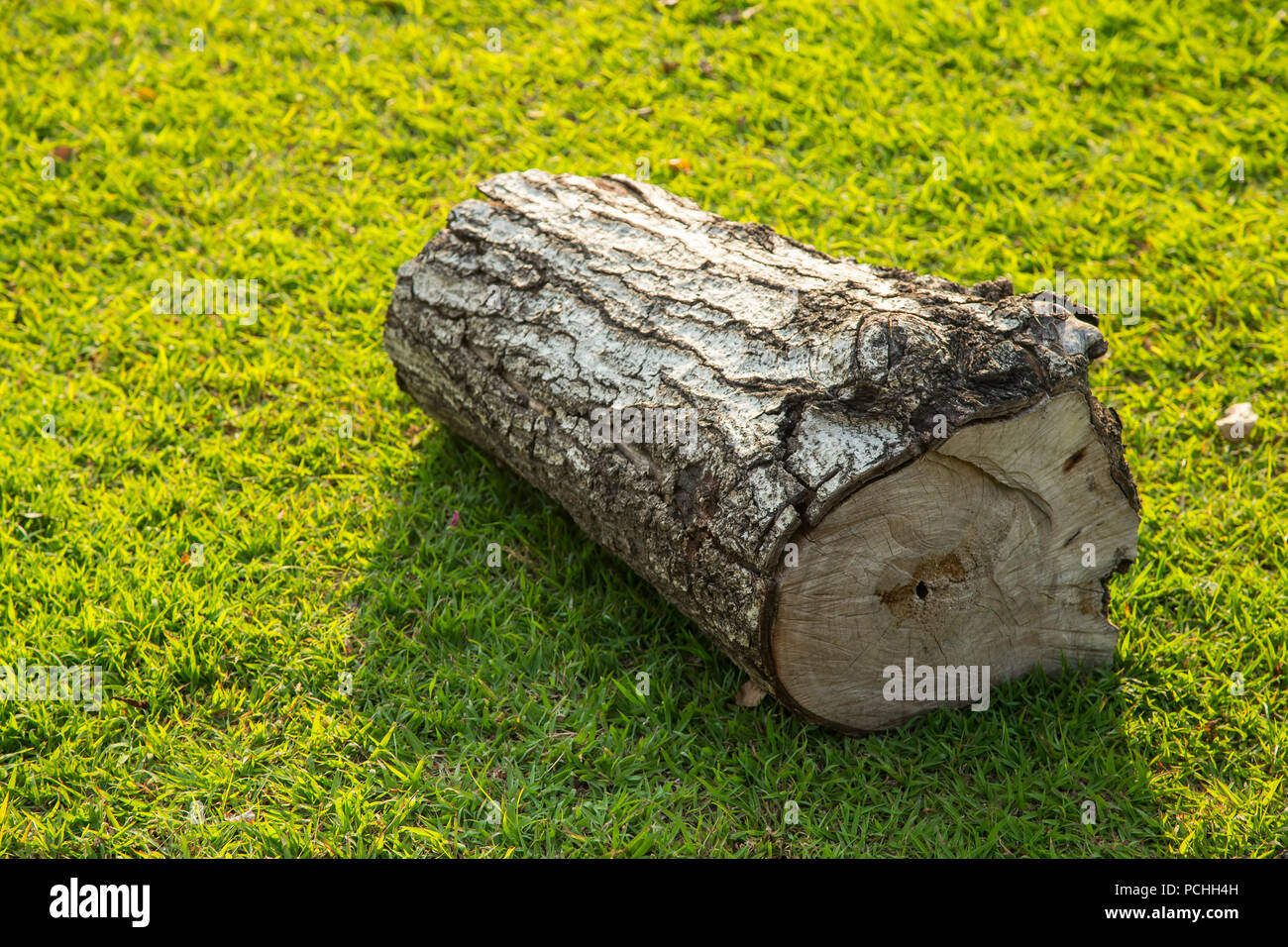 Sitting log bench hi-res stock photography and images - Alamy