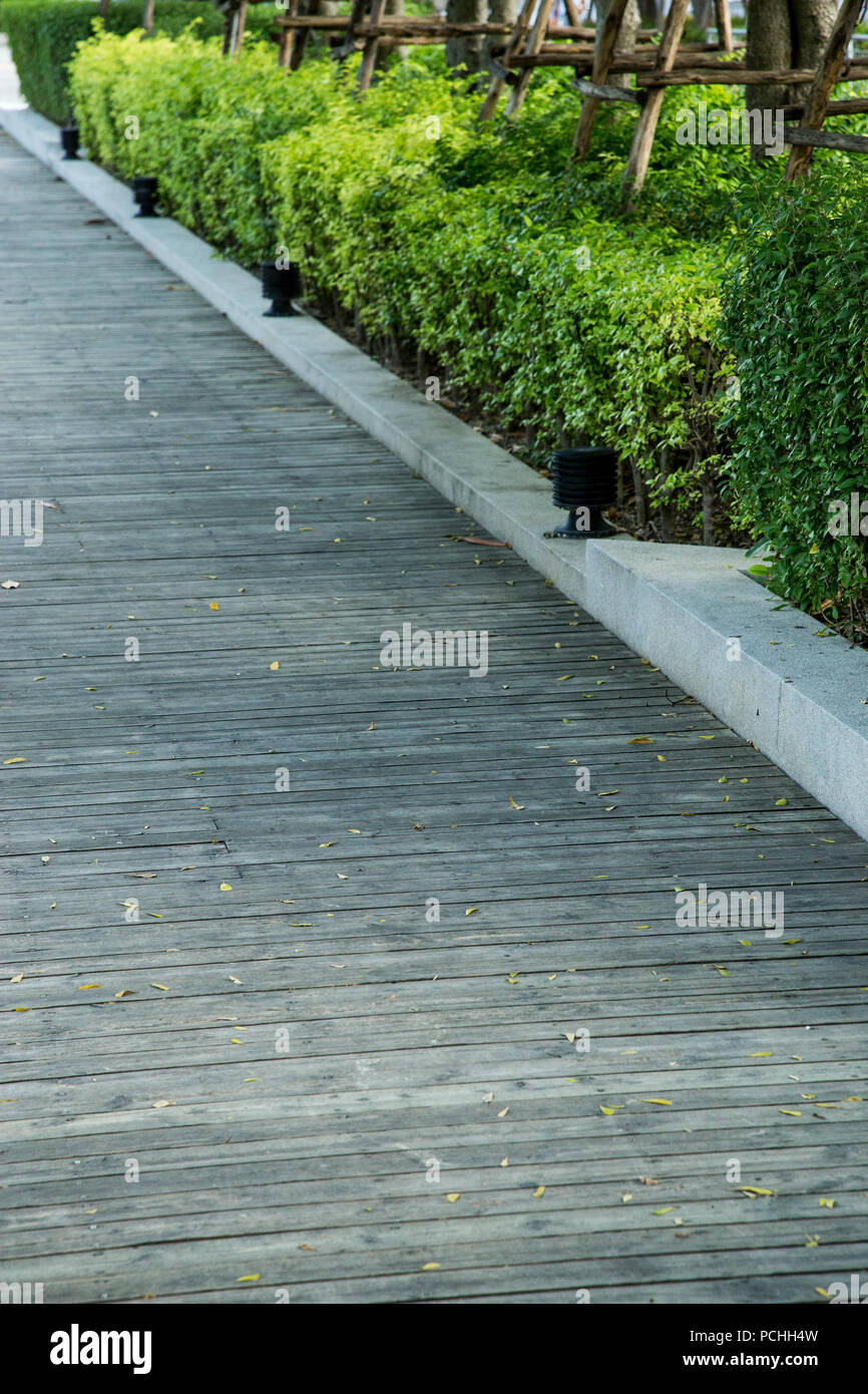 Path with wood board floor in park Stock Photo - Alamy