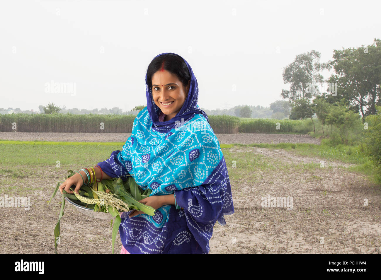 Indian farmer working in rice hi-res stock photography and images - Alamy
