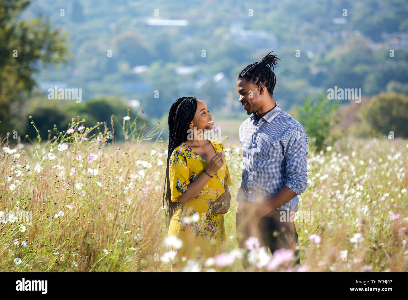 Field of flowers hi-res stock photography and images - Alamy