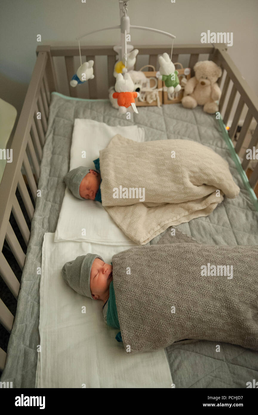 Seven days old newborn twins at home (Heverlee, 07/01/2017 Stock Photo ...