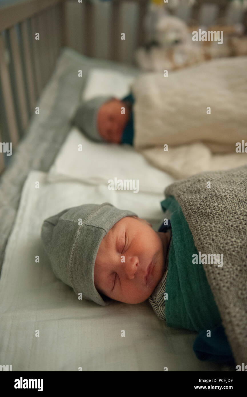 Seven days old newborn twins at home (Heverlee, 07/01/2017 Stock Photo ...