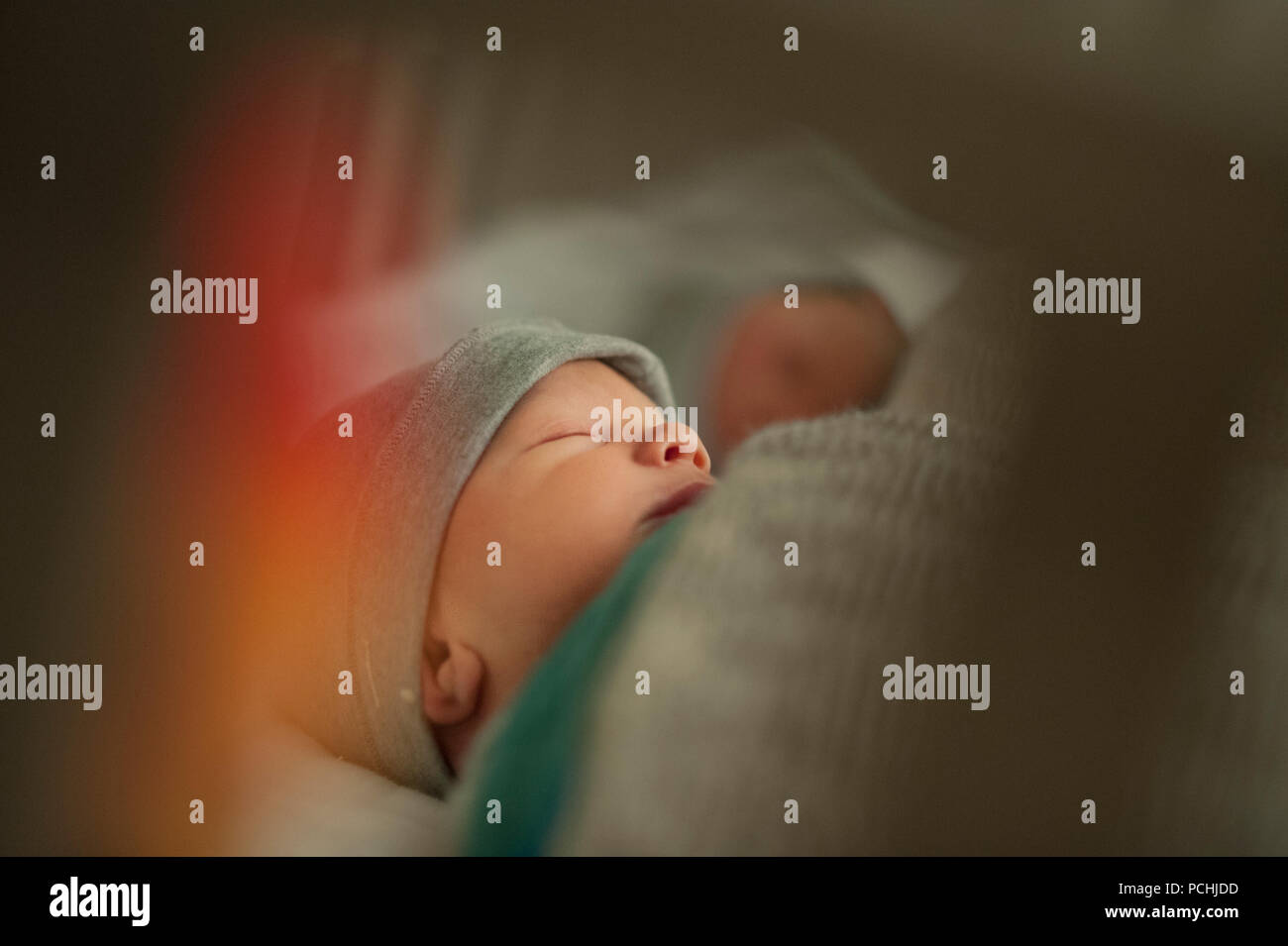 Seven days old newborn twins at home (Heverlee, 07/01/2017 Stock Photo ...