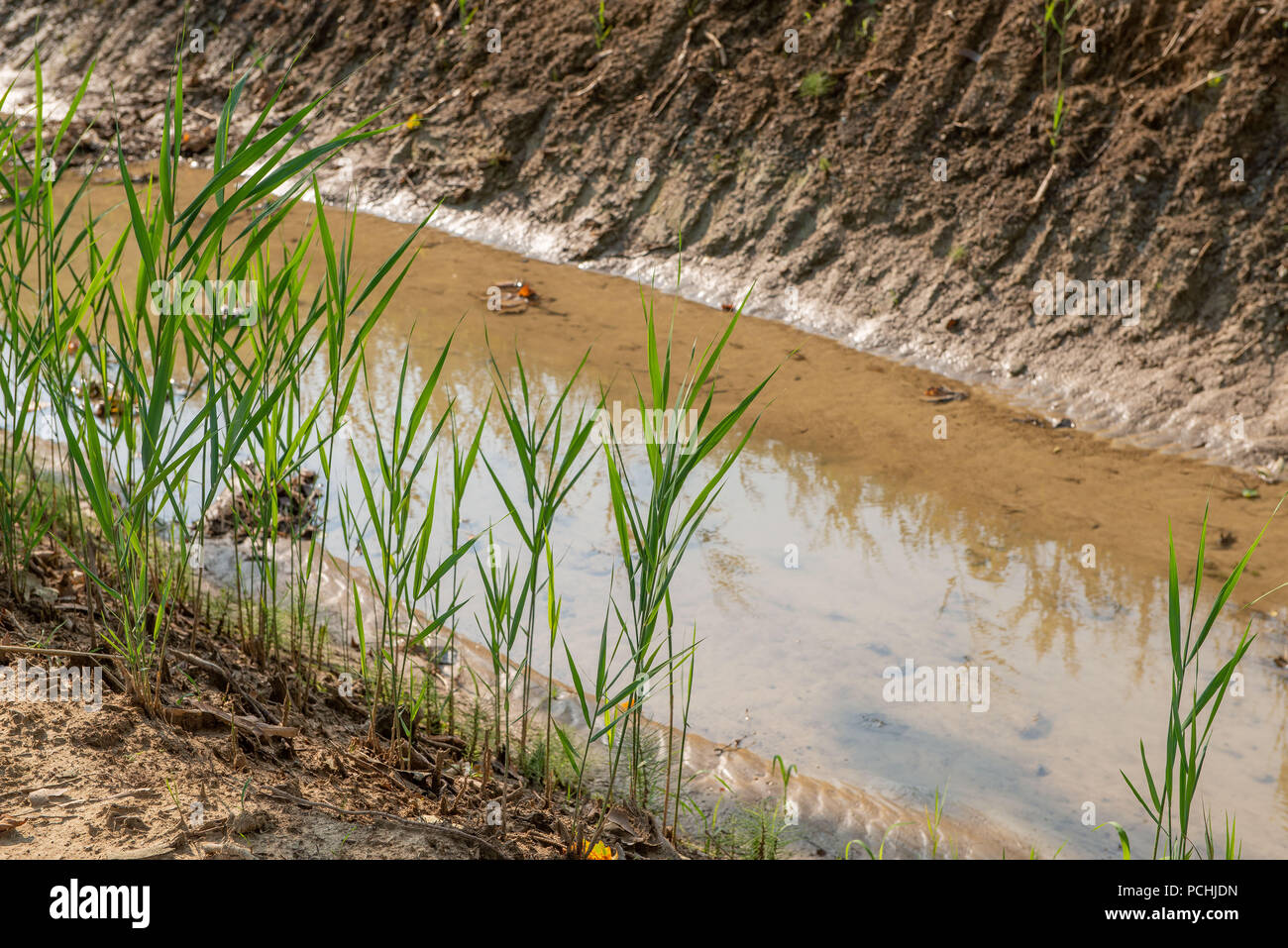 irrigation channel in the Lombardy countryside Stock Photo - Alamy