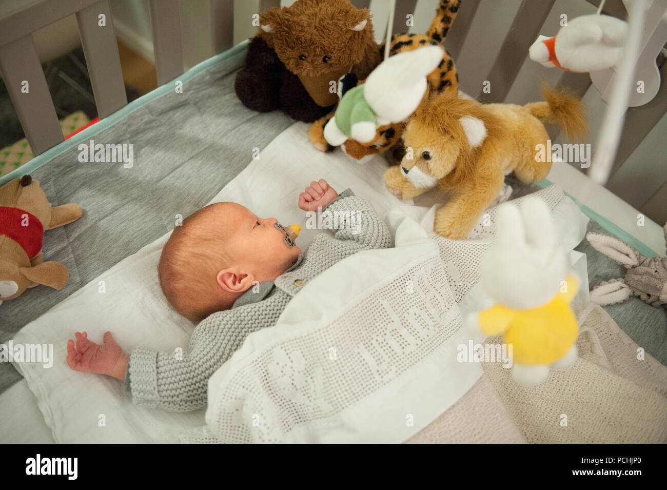 Illustration picture of a newborn baby boy surround by toys and teddy ...