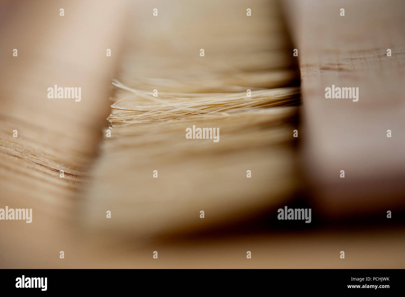 Studio de calligraphie hi-res stock photography and images - Alamy