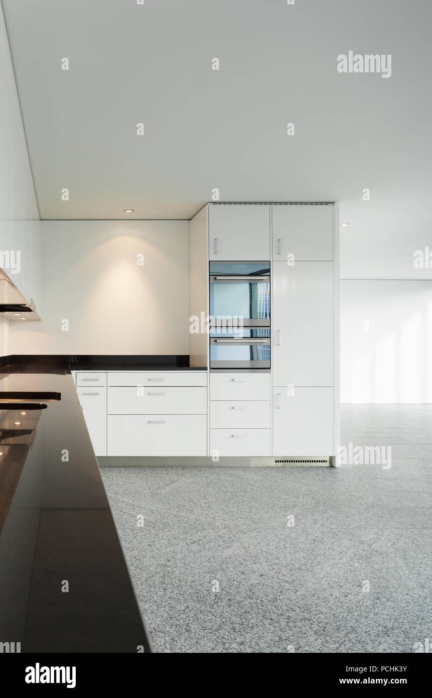 Modern architecture, wide apartment, domestic kitchen view Stock Photo ...