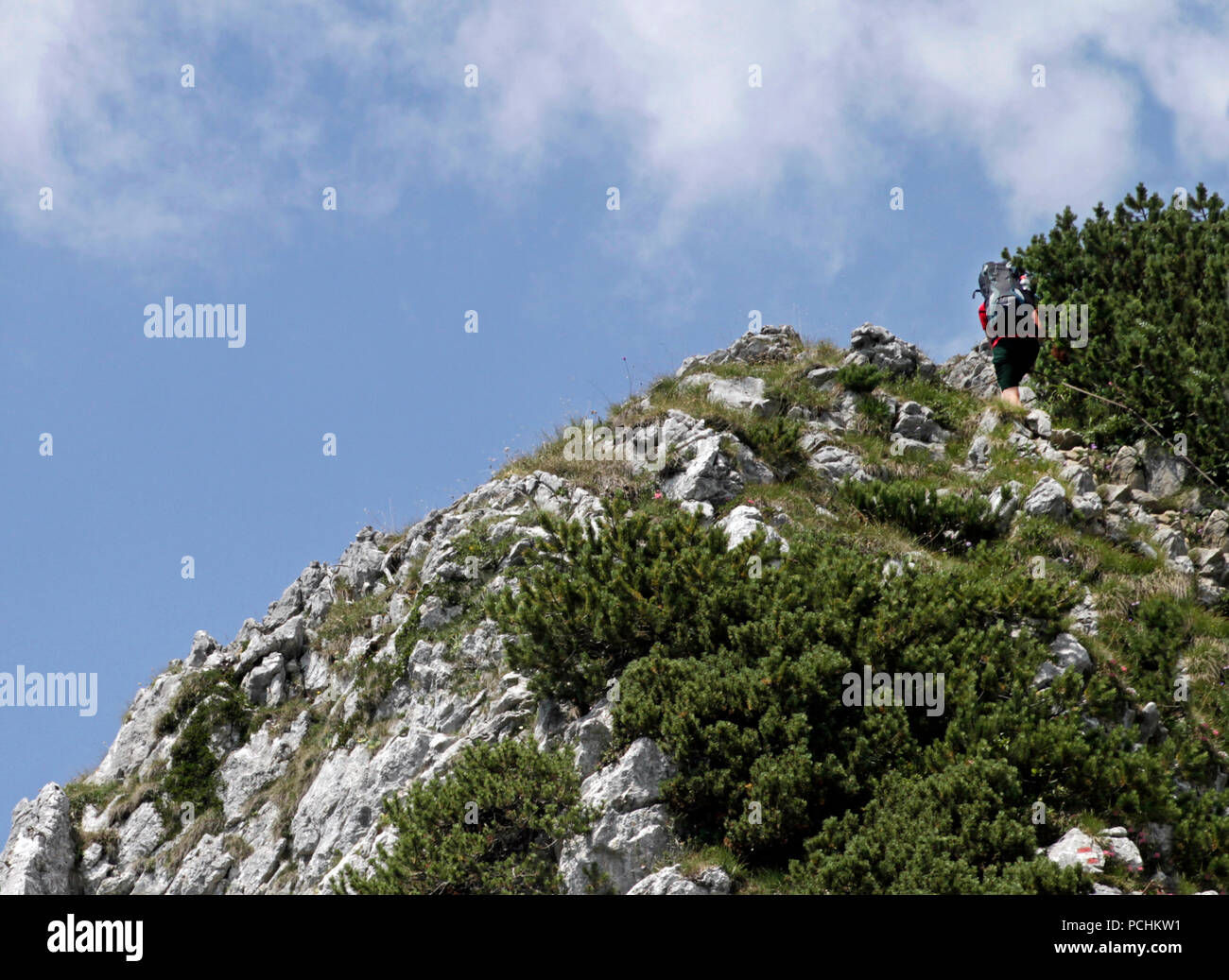 Hiker going up steep path in the alps Stock Photo - Alamy