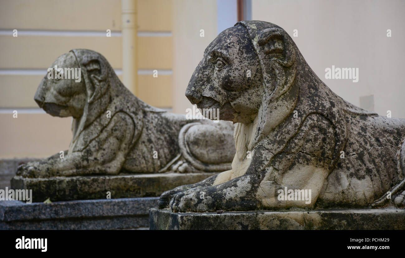 Lion statues at ancient palace in Saint Petersburg, Russia Stock Photo ...