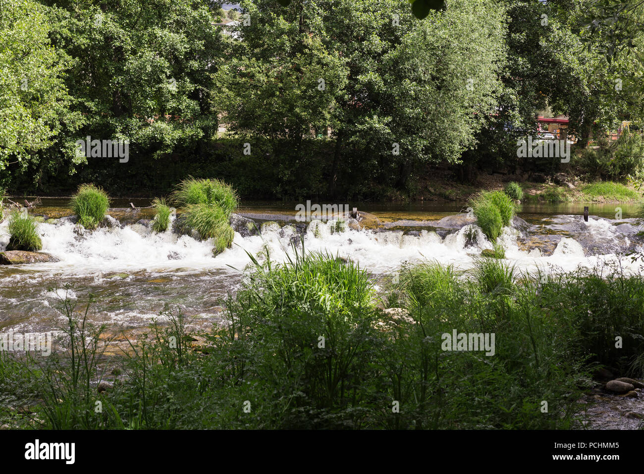 River Among Trees High Resolution Stock Photography and Images - Alamy
