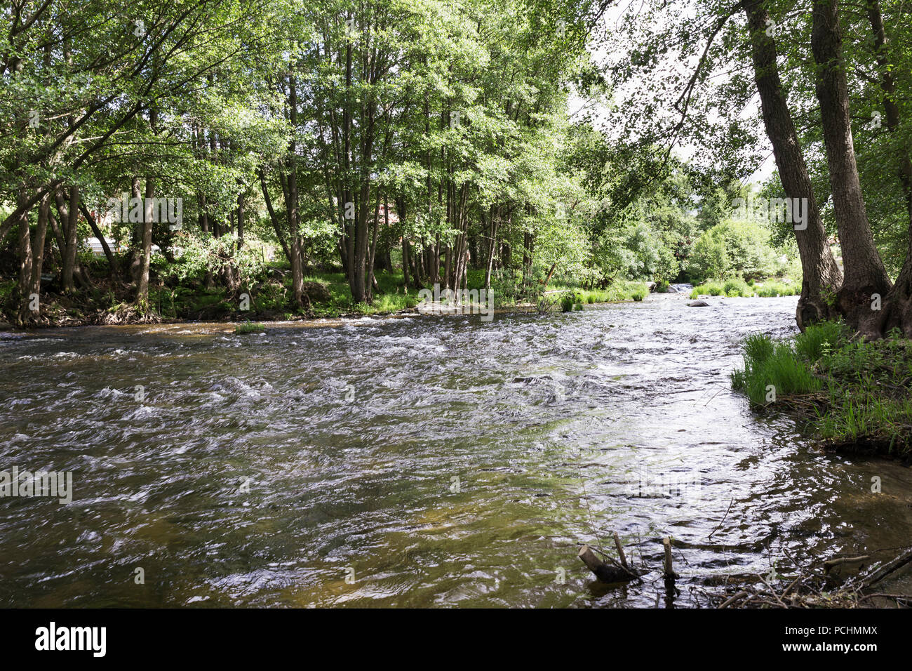water running fast down a river among trees in spring Stock Photo - Alamy