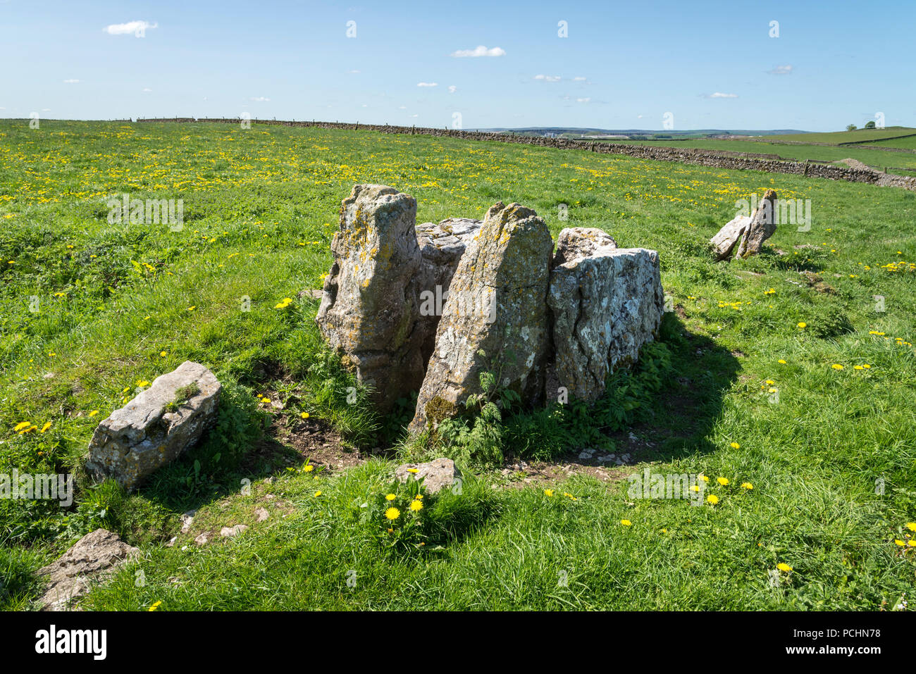 Five wells chambered cairn, Taddington, Derbyshire, England. Remains of ...