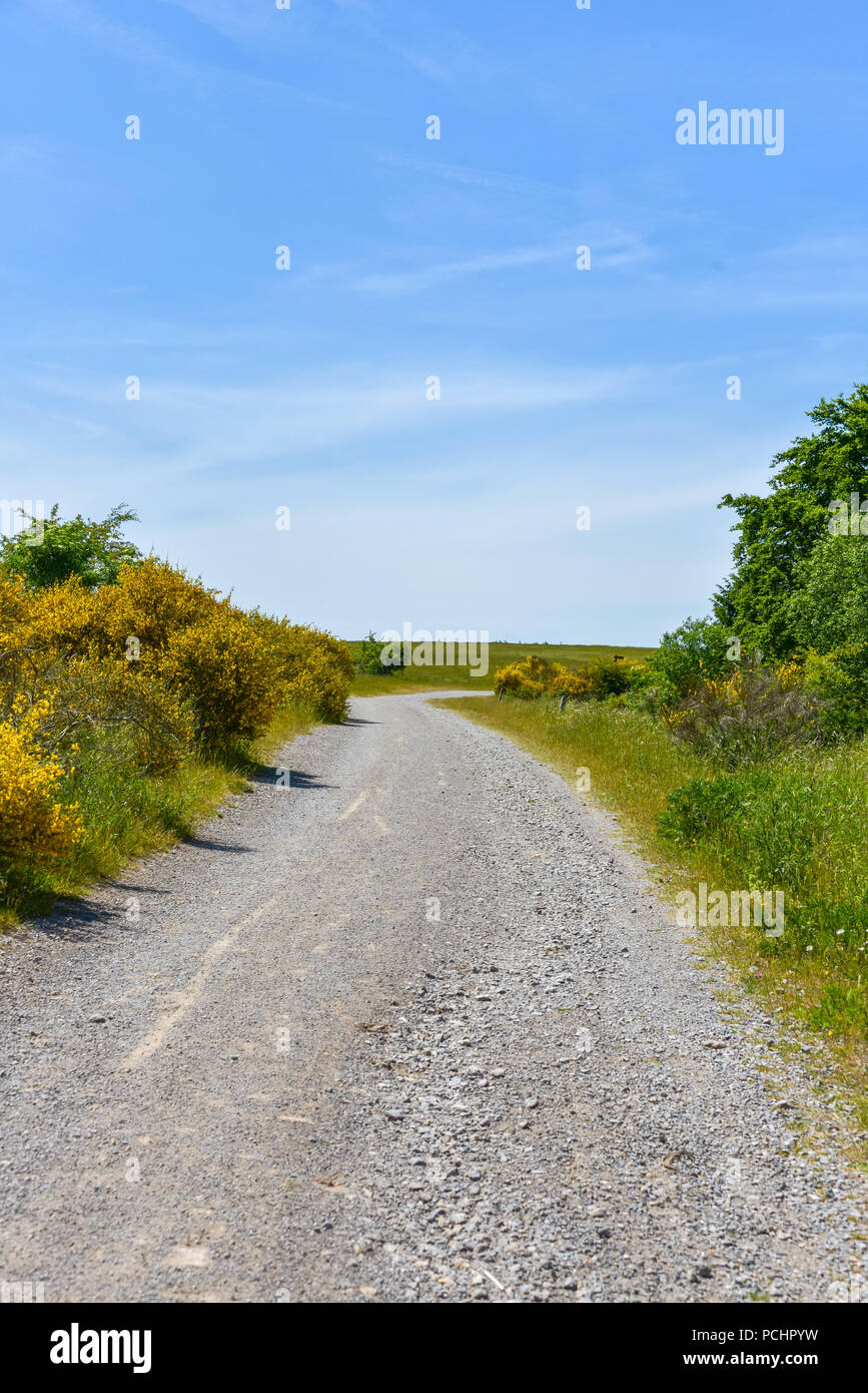 Hiking path through the natural reserve area in Eifel Germany with blue ...