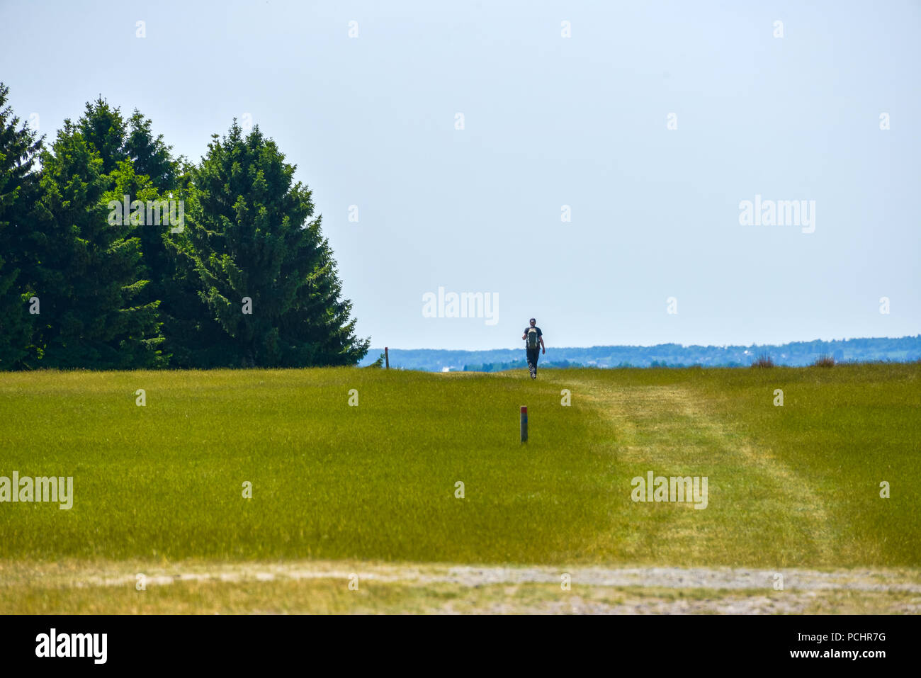 Hiking path through the natural reserve area in Eifel Germany with blue ...