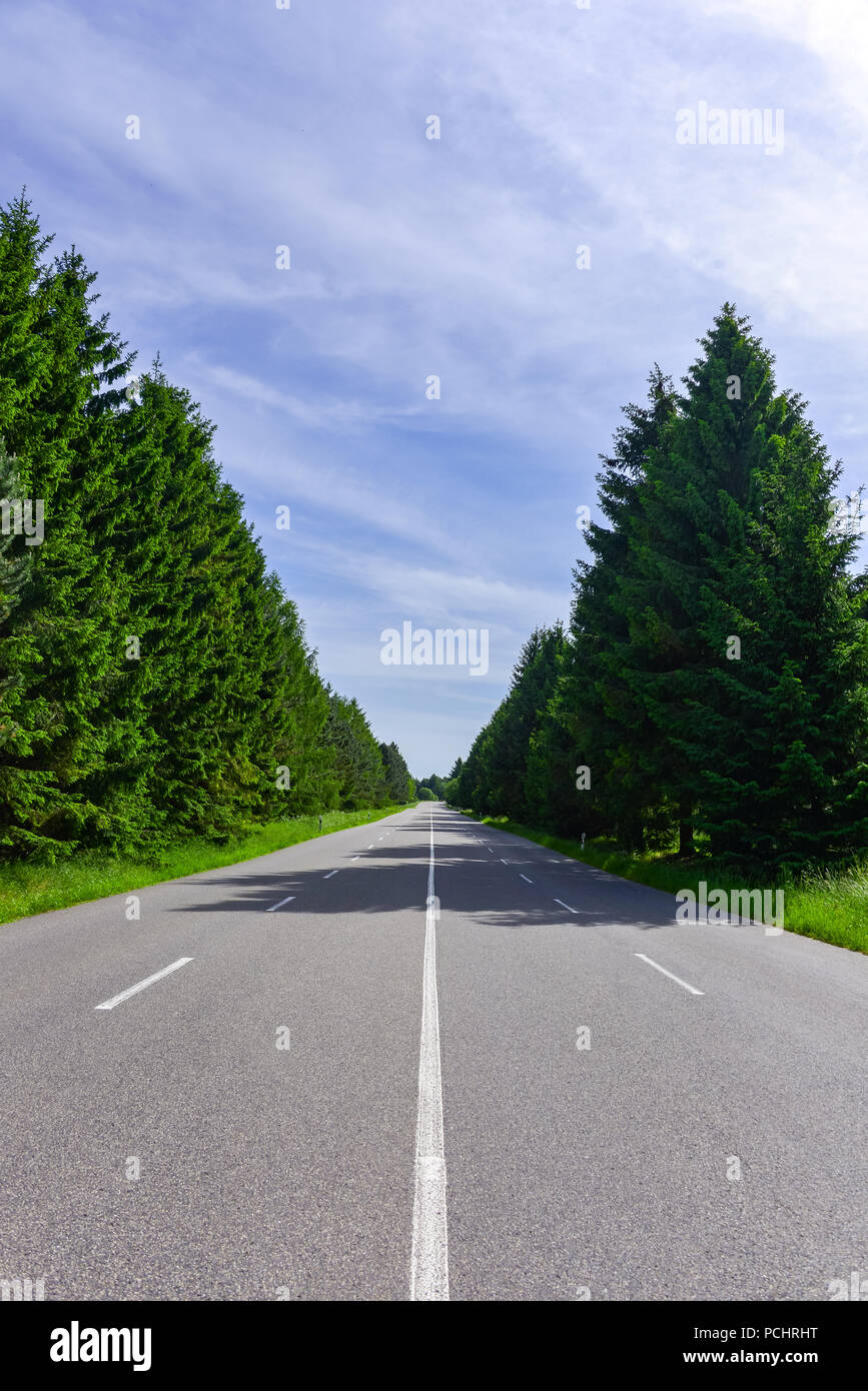 Long straight road with nobody ahead empty with trees at the sides in ...