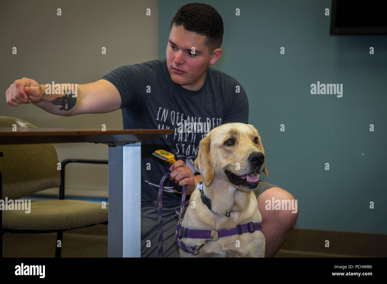 Wounded warrior dogs hi-res stock photography and images - Alamy