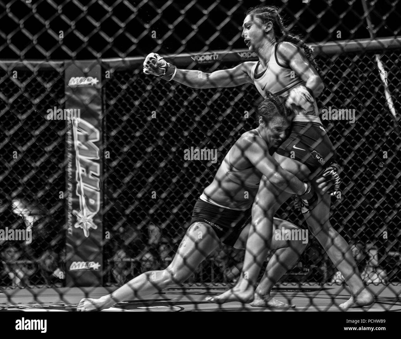 Victoria leonardo hi-res stock photography and images - Alamy